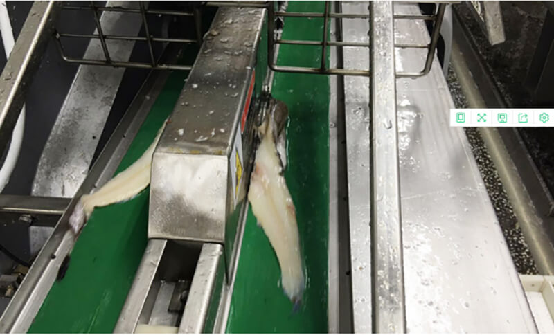 Máquina automática de fileteado de pescado de alta capacidad Máquina fileteadora de pescado del ...