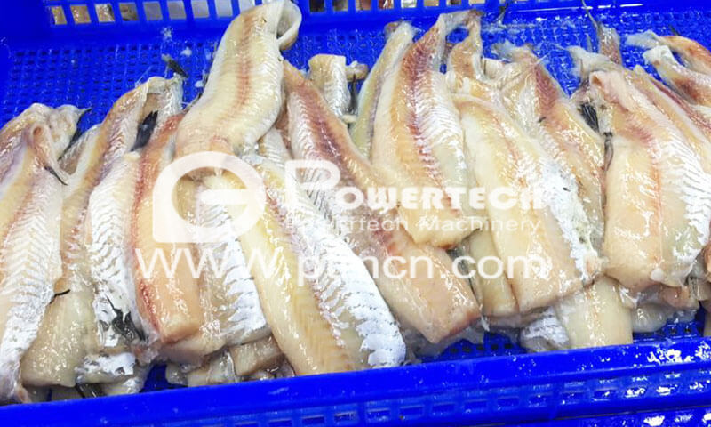 Máquina automática de fileteado de pescado de alta capacidad Máquina fileteadora de pescado del ...